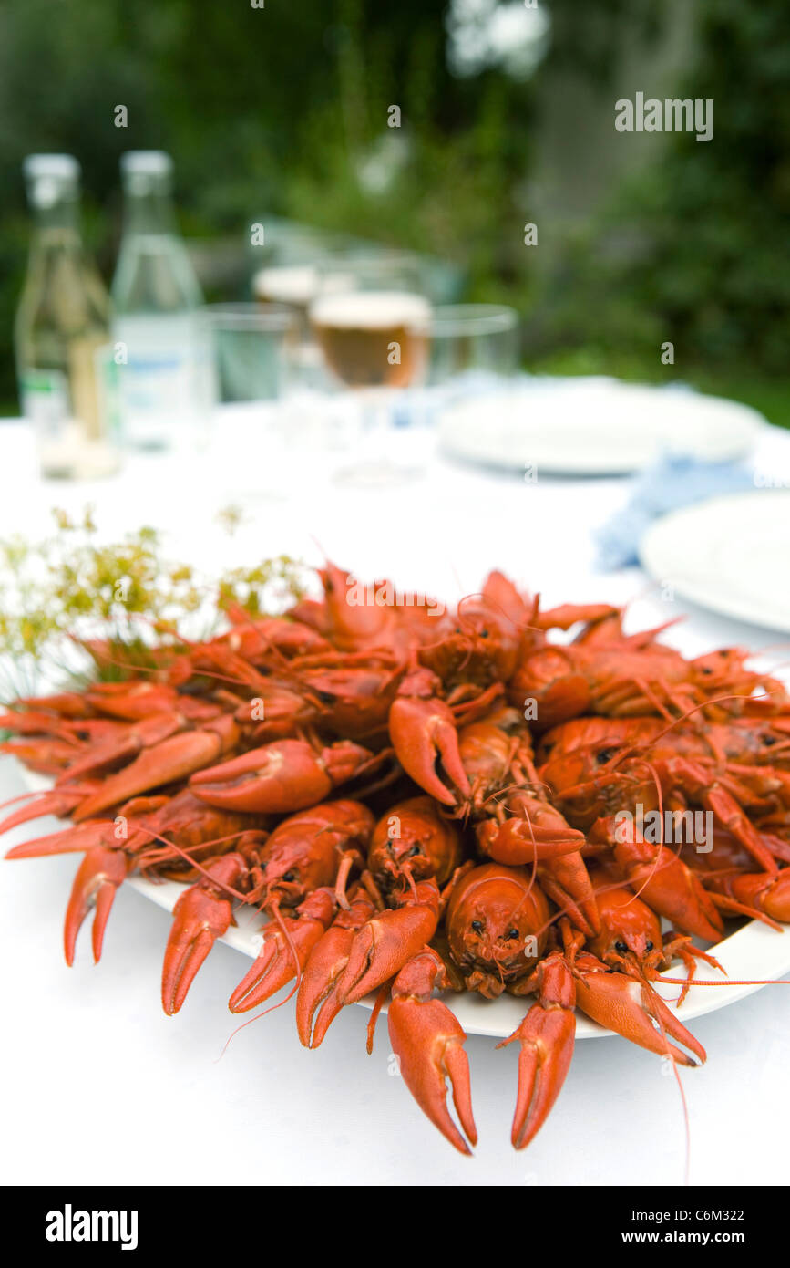 Boiled crawfish on outdoor dinner table Stock Photo - Alamy