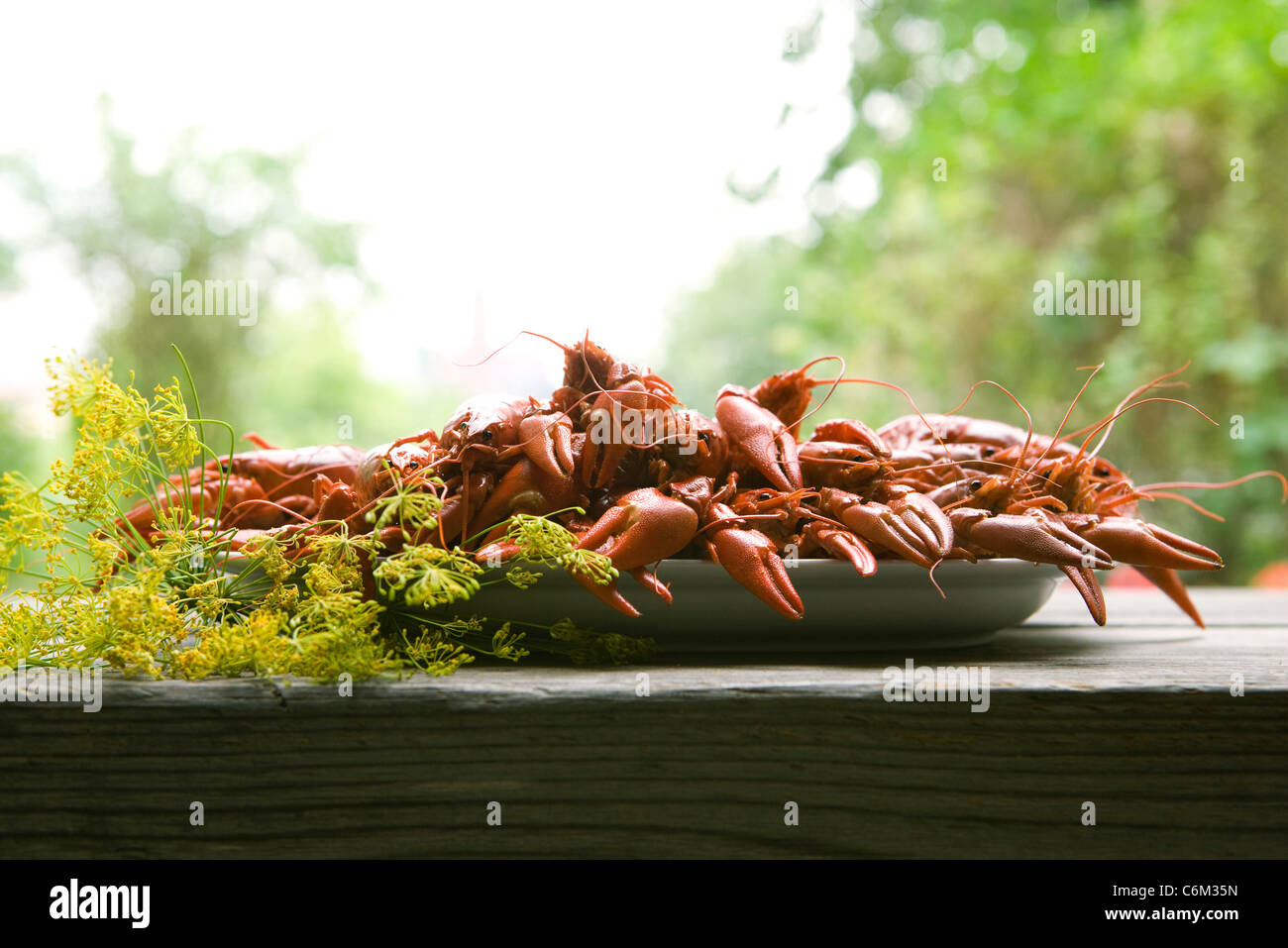 Boiled crawfish on outdoor table Stock Photo - Alamy