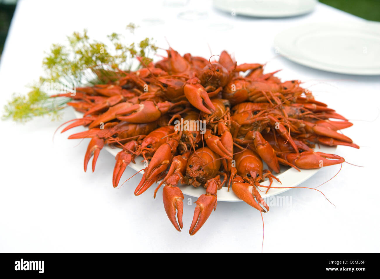 Boiled crawfish on dinner table Stock Photo - Alamy