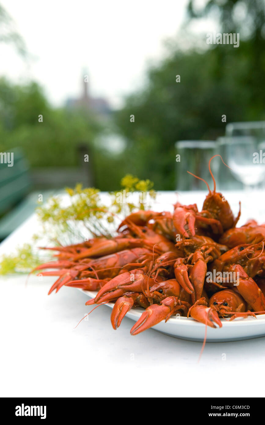 Close up crawfish in hi-res stock photography and images - Alamy