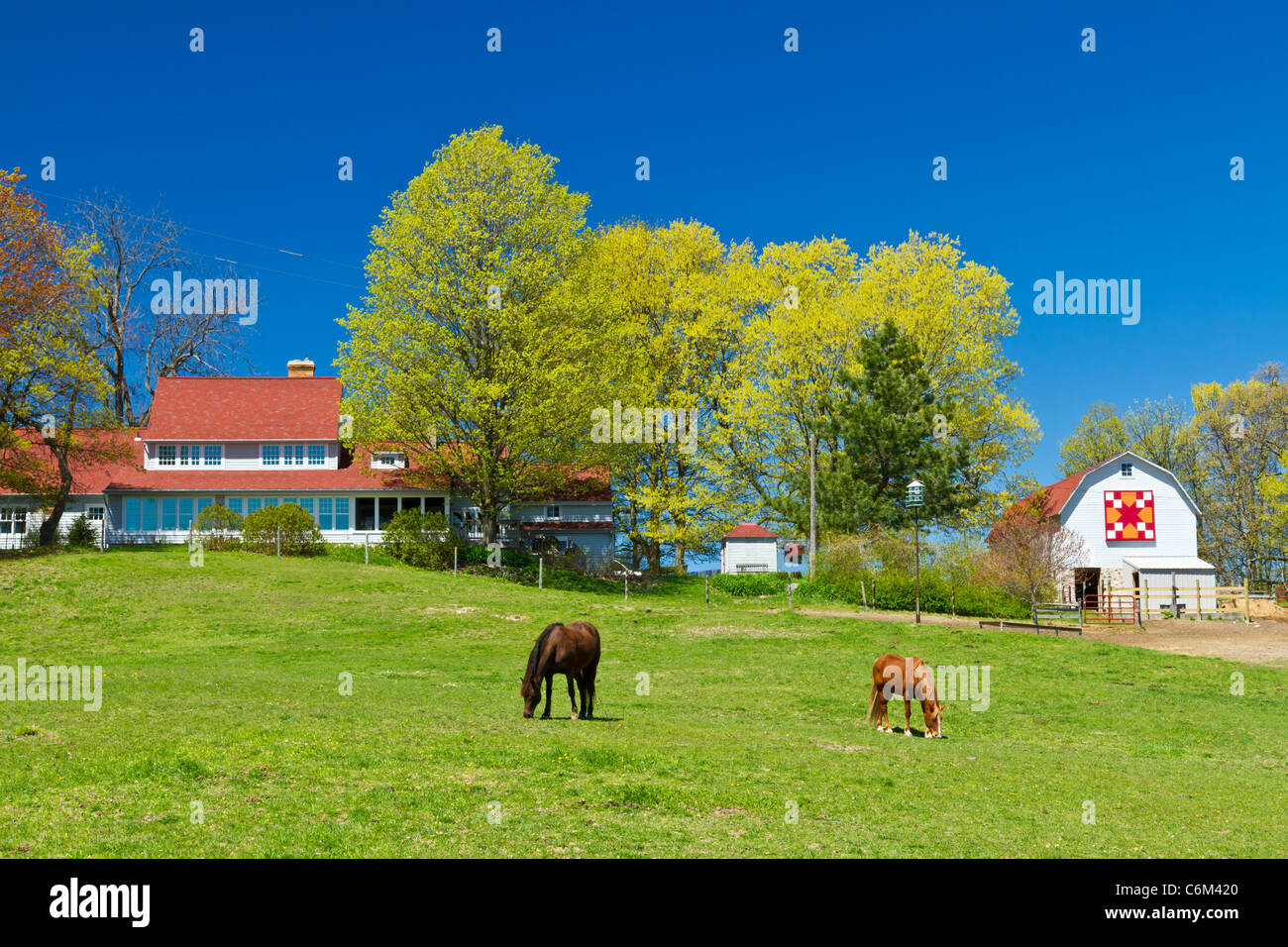 A ranch home with barn and horses grazing in the pasture on the Old ...