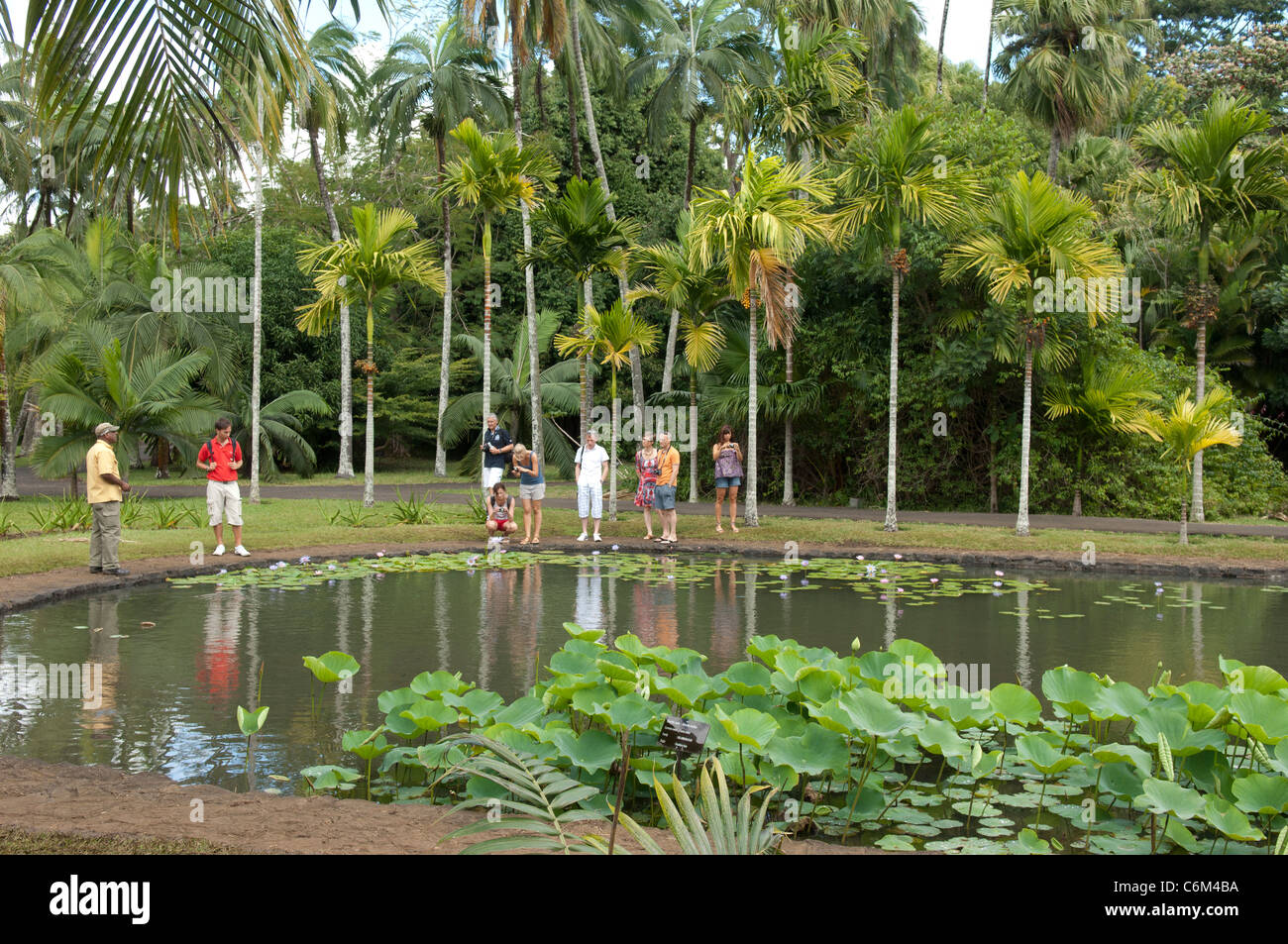 Pamplemousses Botanical Gardens Stock Photos & Pamplemousses Botanical ...