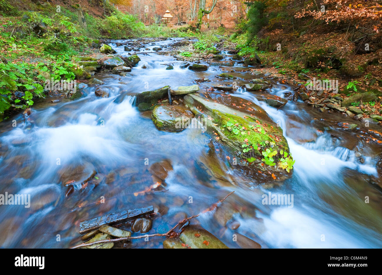 Rocky Stream, Running Through Autumn Mountain Forest Stock Photo - Alamy