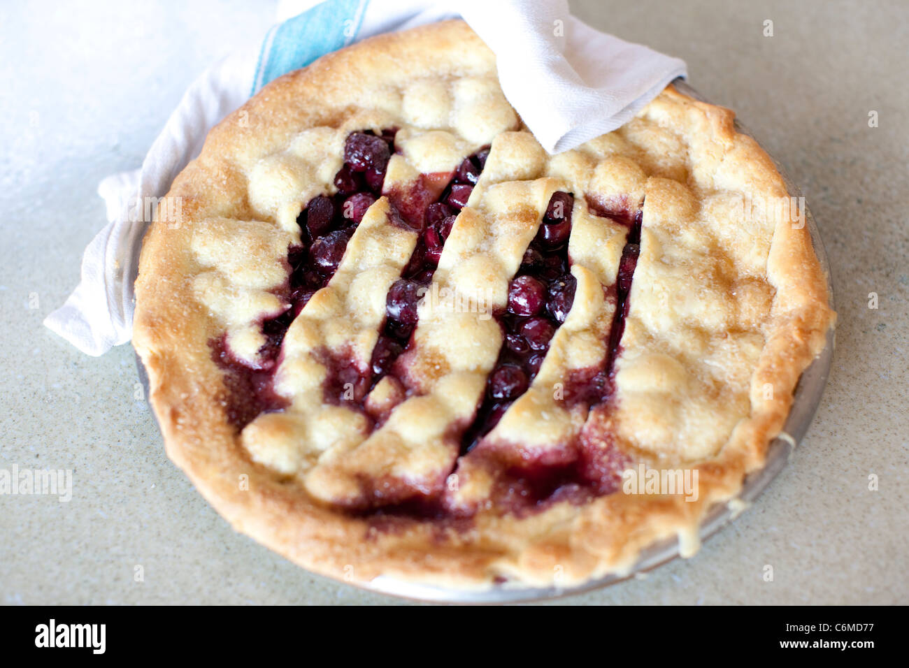 baked Wild Cherry Pie. Photo:Jeff Gilbert Stock Photo - Alamy