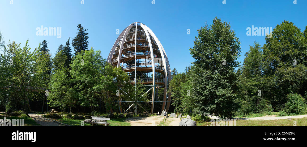 World's longest tree top walk high tree platform Neuschoenau Bavarian ...