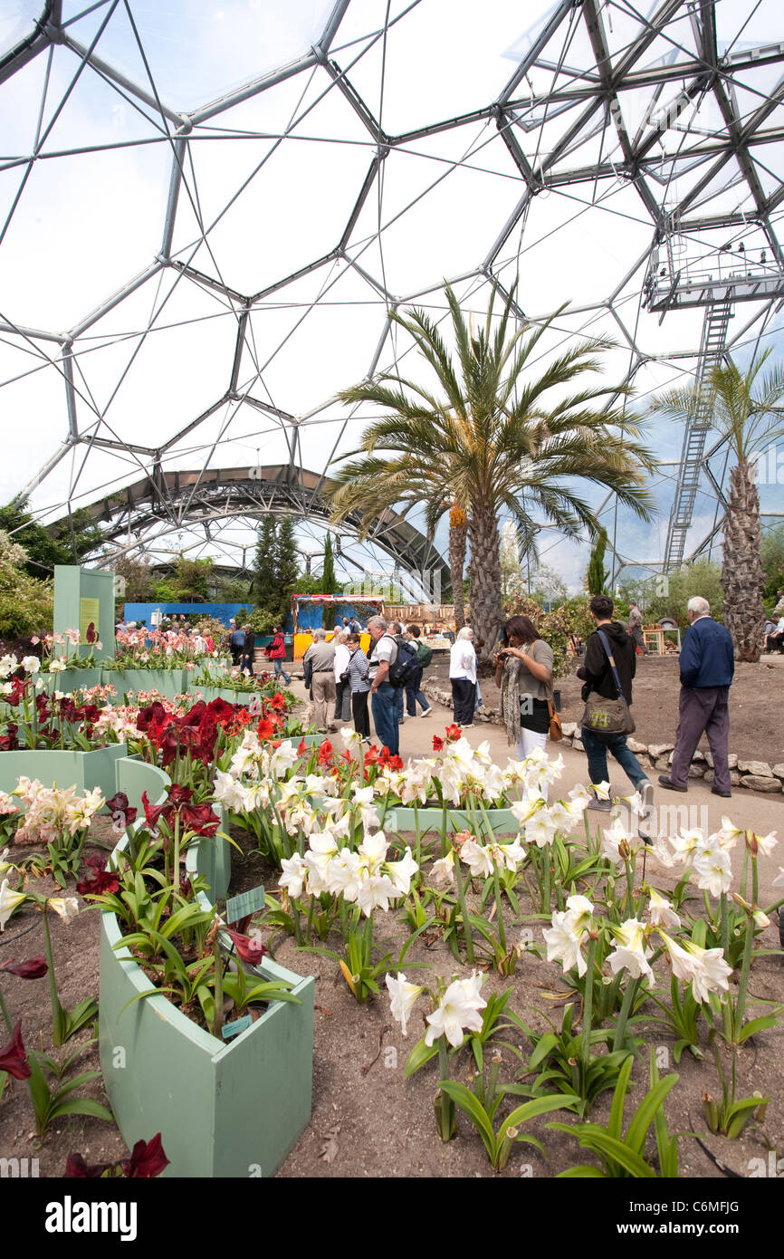 Mediterranean biome eden project hi-res stock photography and images ...