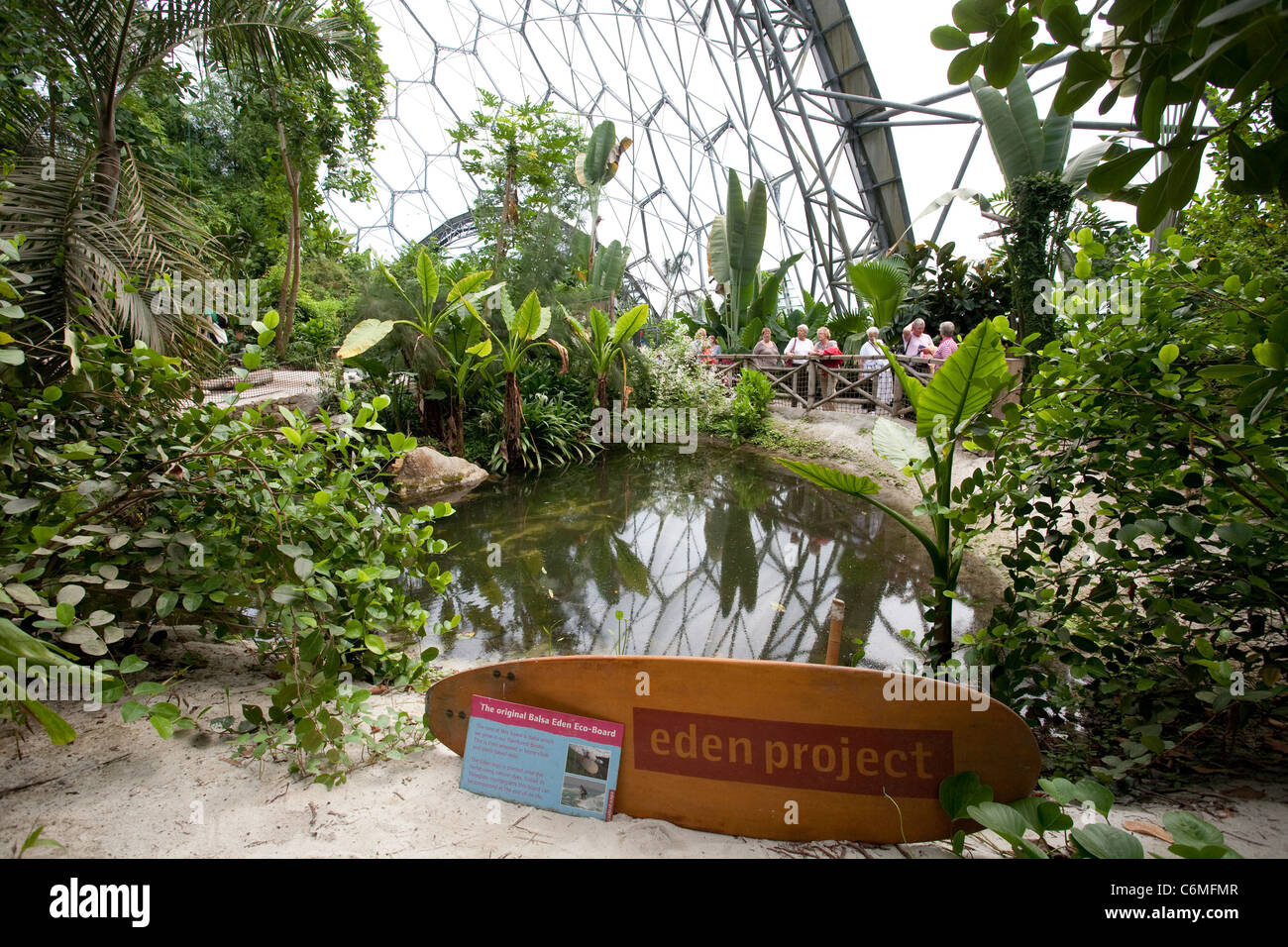 Rainforest area in the Tropical Biome at the Eden Project. Photo:Jeff ...