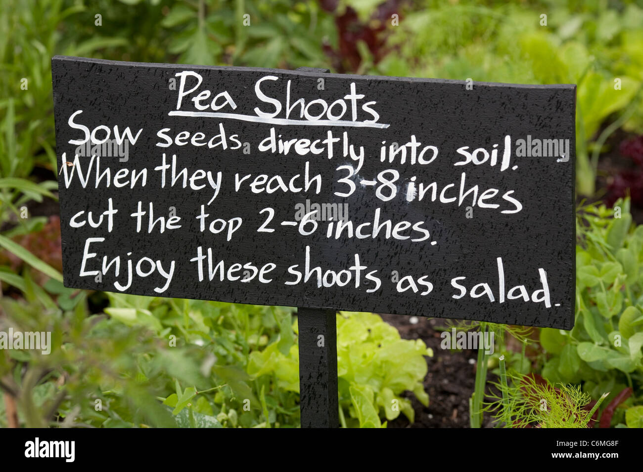 Tim smit greenhouse hi-res stock photography and images - Alamy