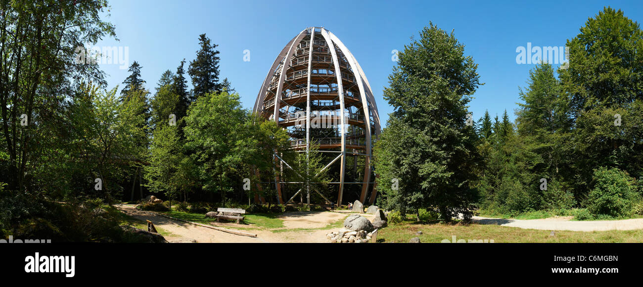 World's longest tree top walk high tree platform Neuschoenau Bavarian ...