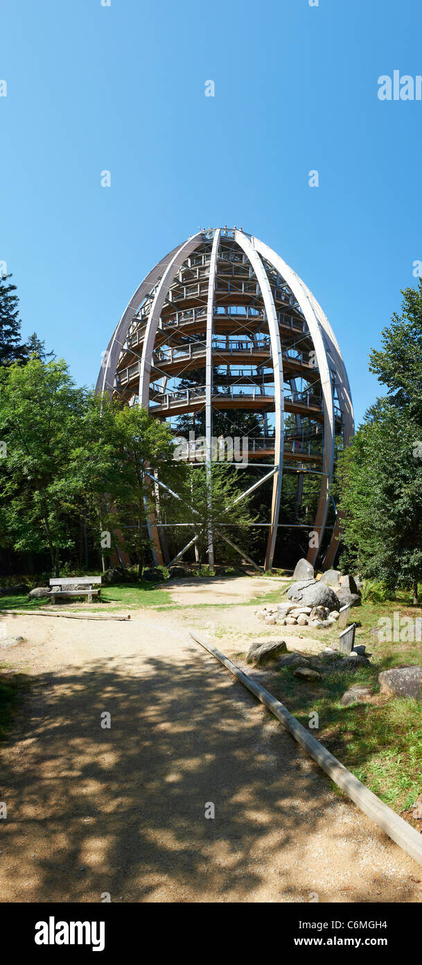 World's longest tree top walk high tree platform Neuschoenau Bavarian ...