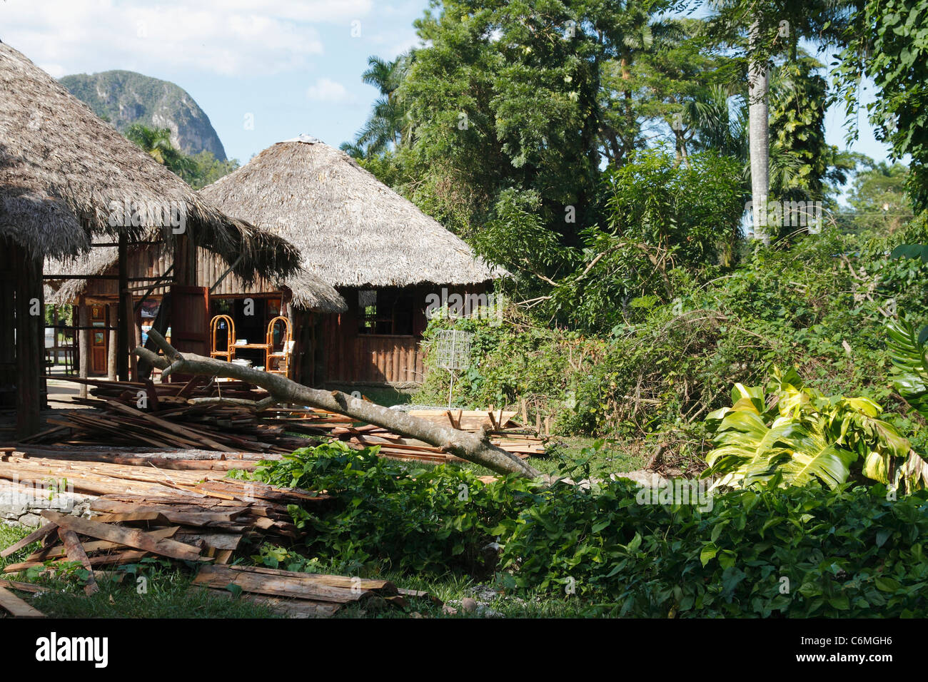 Primitive hut hi-res stock photography and images - Alamy