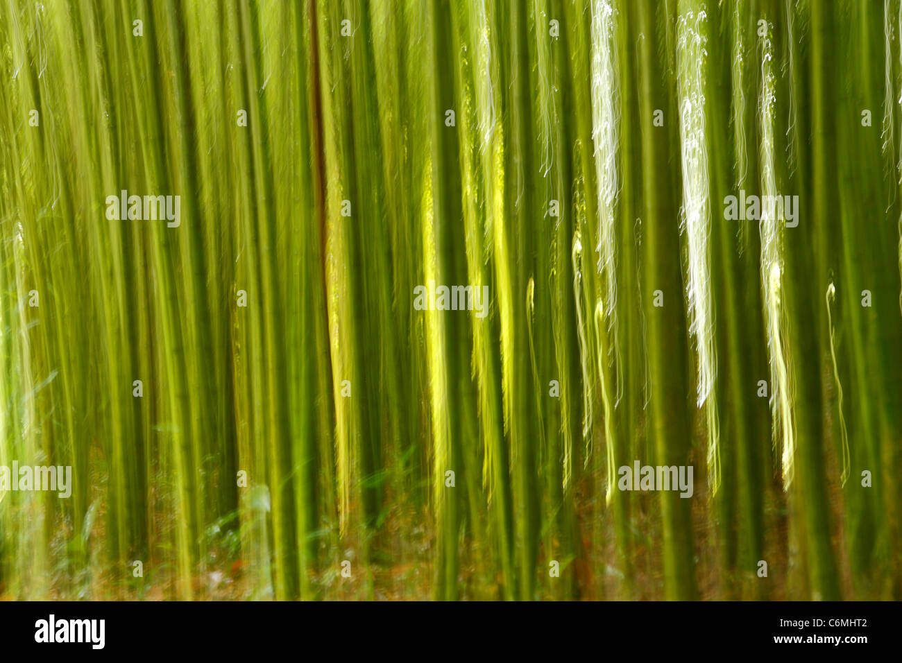 Nature bamboo abstract Stock Photo - Alamy
