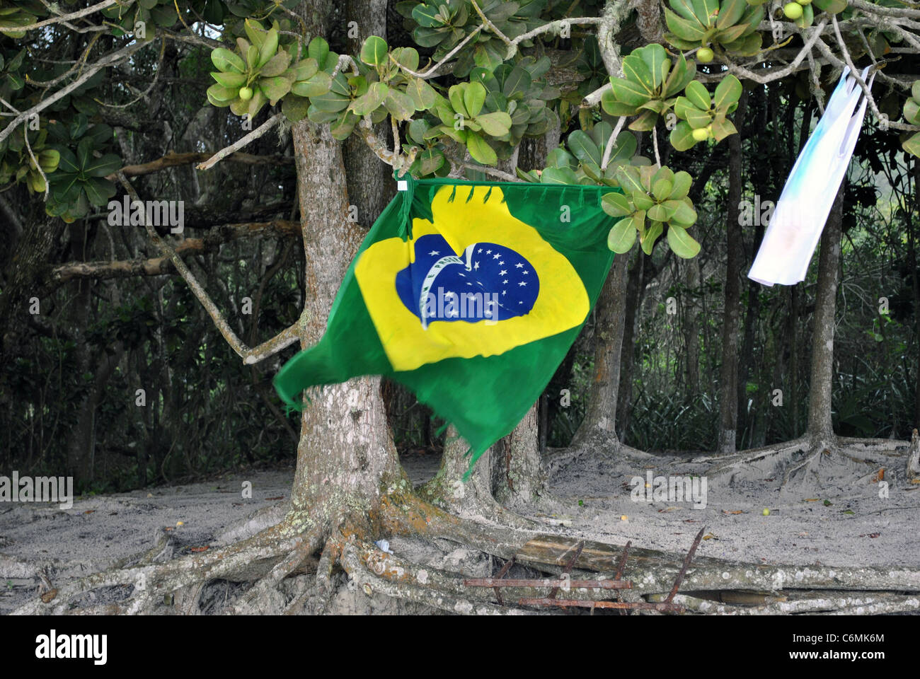 Brazil flag tied to a tree, blowing in the wind Stock Photo - Alamy