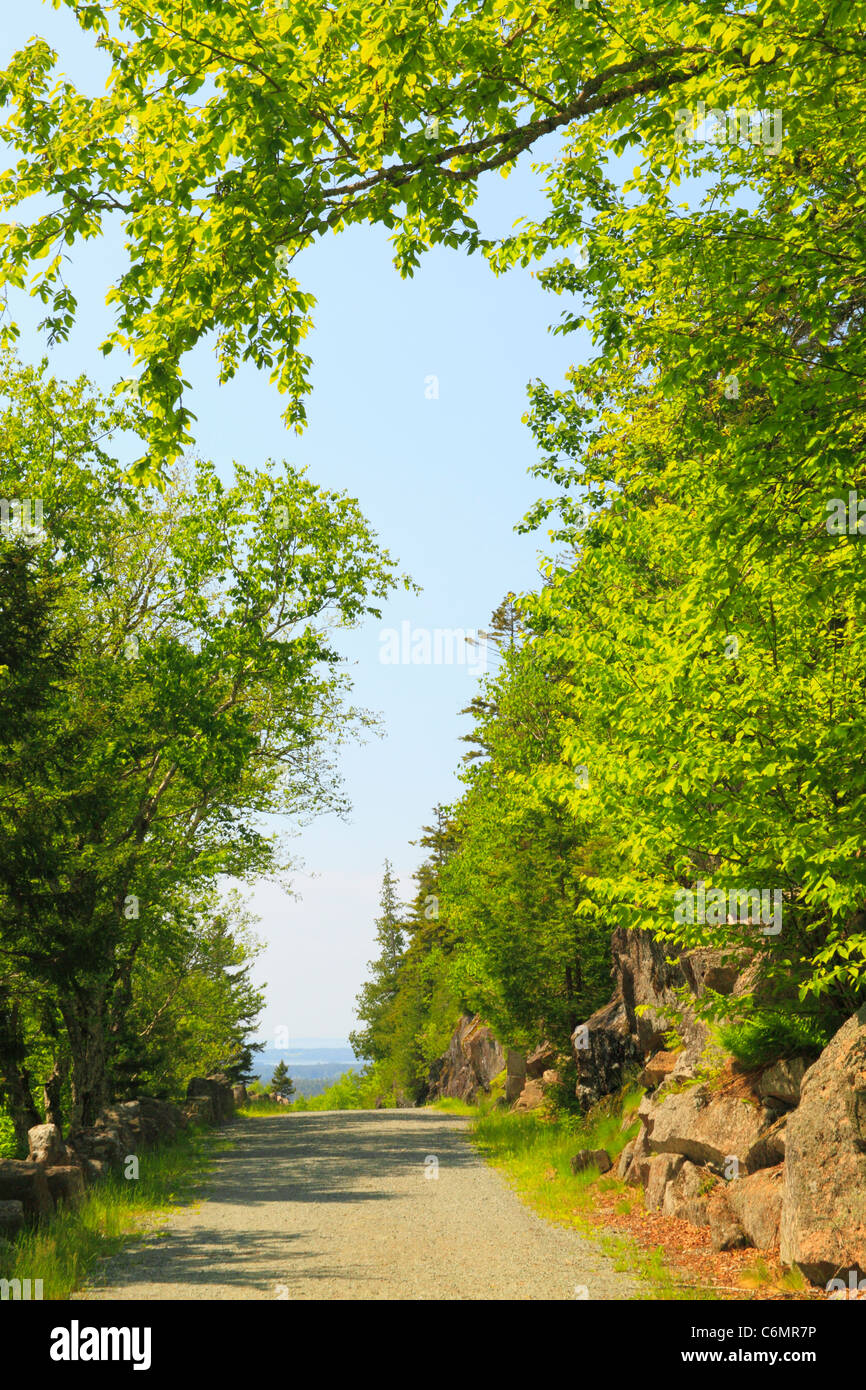 Stream loop hi-res stock photography and images - Alamy