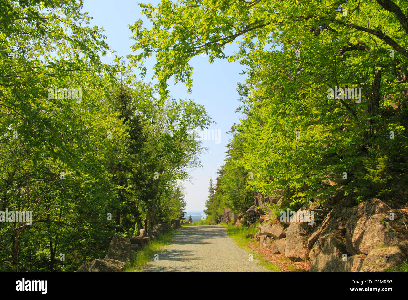 Jordan Stream loop Carriage Road, Acadia National Park, Mount Desert ...