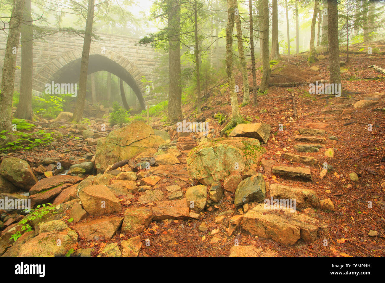 Hemlock Bridge and Maple Springs Trail, Acadia National Park, Maine ...