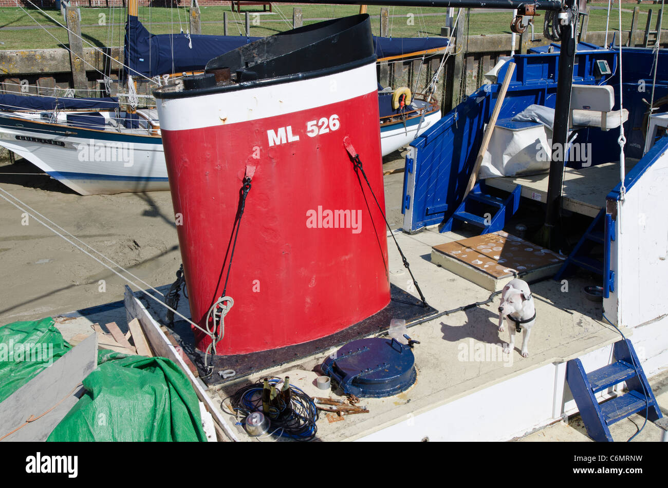 Red Funnel on old tug with Pitbull dog Strand Quay, Rye, East Sussex ...