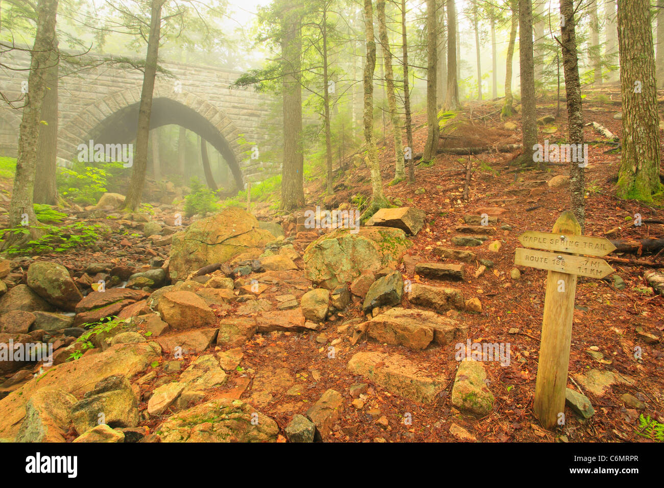 Hemlock Bridge and Maple Springs Trail, Acadia National Park, Maine ...