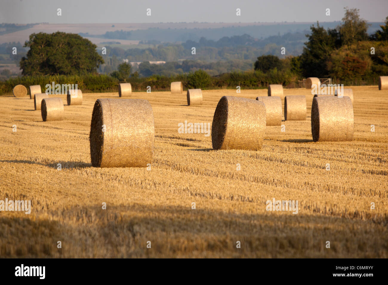 Round hay bails hi-res stock photography and images - Alamy