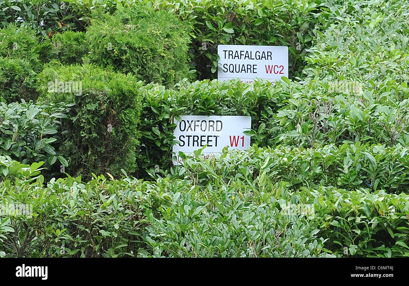 Trafalgar Square, Oxford Street A giant pop up maze in Trafalgar Square ...