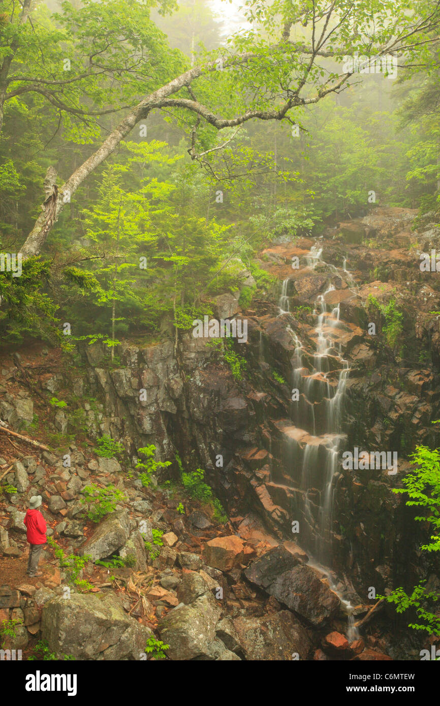 Hadlock brook bridge hi-res stock photography and images - Alamy