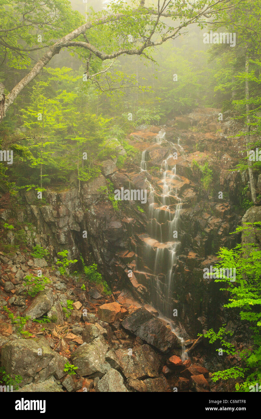 Hadlock brook bridge hi-res stock photography and images - Alamy