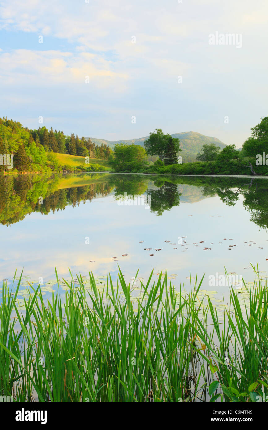 Morning, Little Long Pond, Little Long Pond Loop Carriage Road, Acadia ...