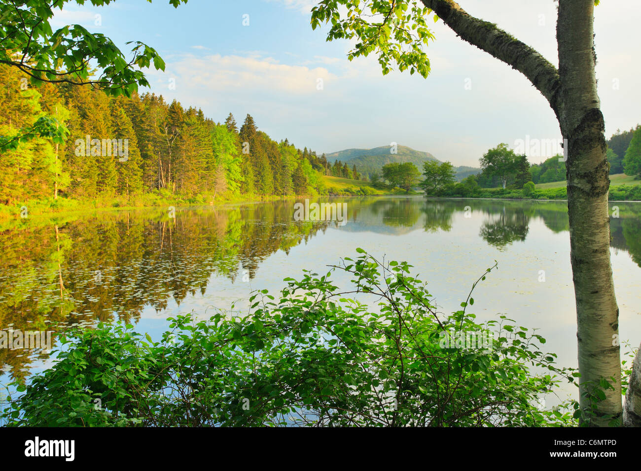 Morning, Little Long Pond, Little Long Pond Loop Carriage Road, Acadia ...