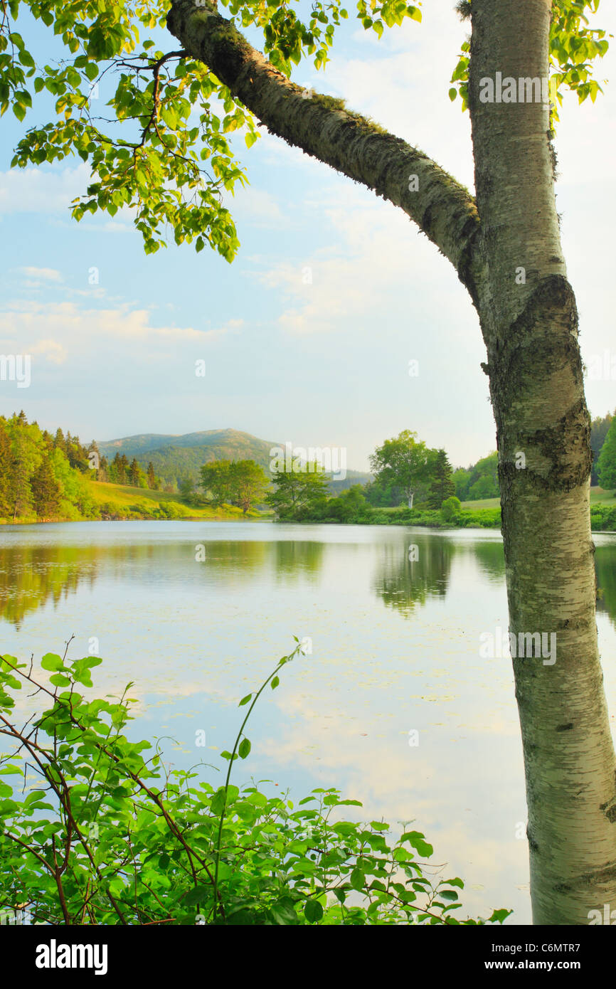 Morning, Little Long Pond, Little Long Pond Loop Carriage Road, Acadia ...