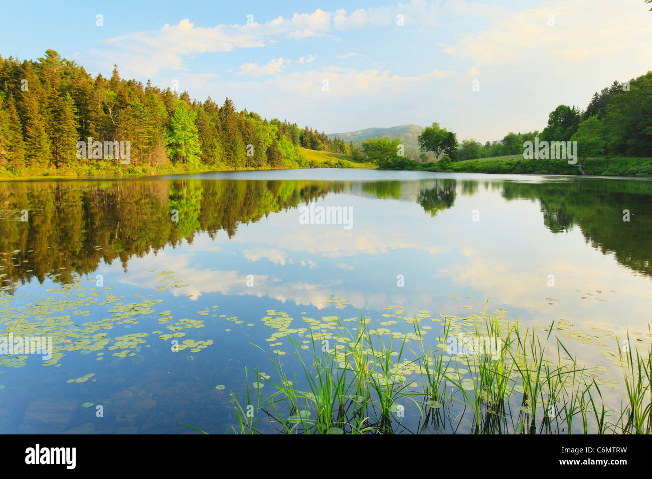 Morning, Little Long Pond, Little Long Pond Loop Carriage Road, Acadia ...