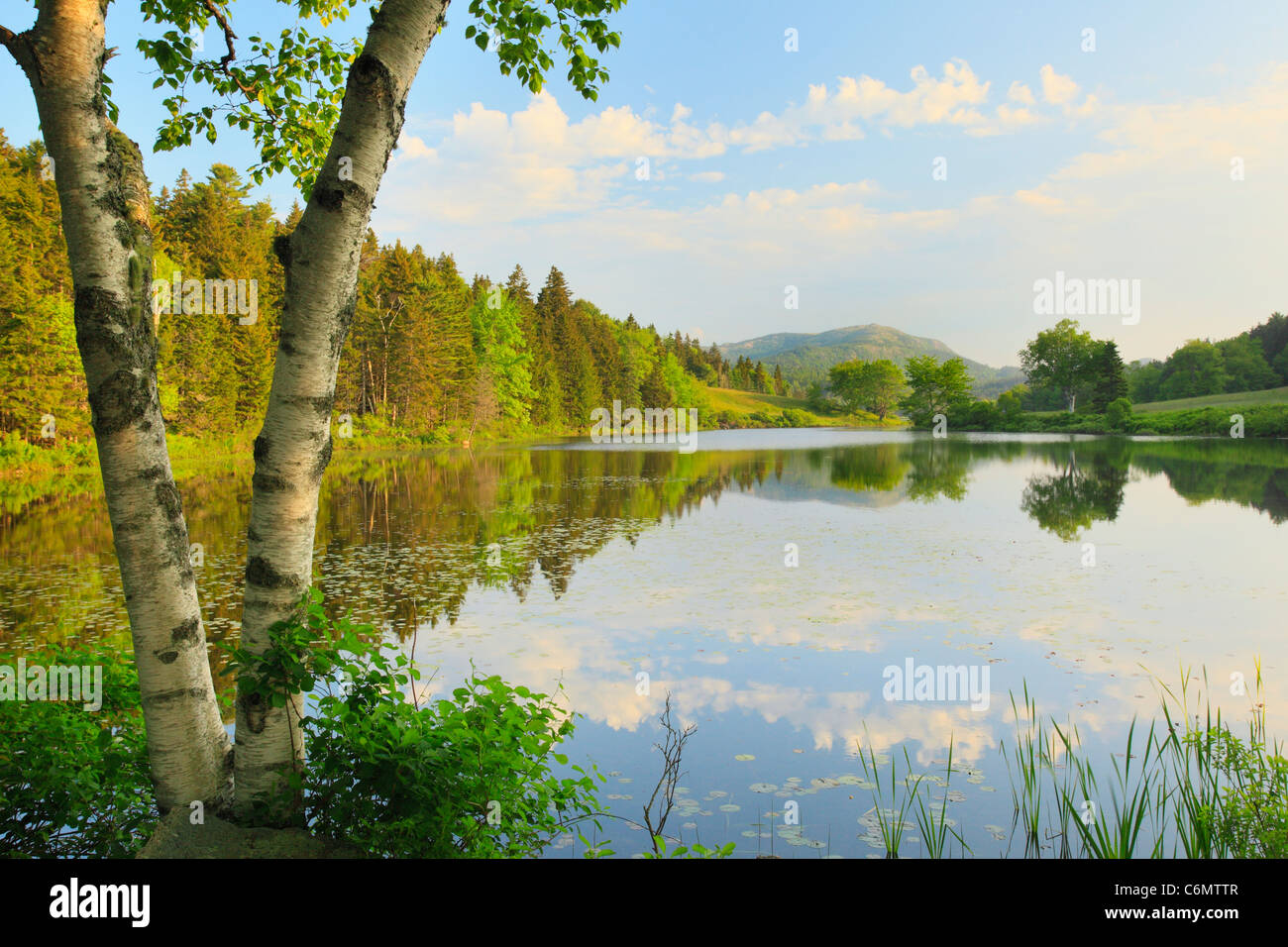 Morning, Little Long Pond, Little Long Pond Loop Carriage Road, Acadia ...