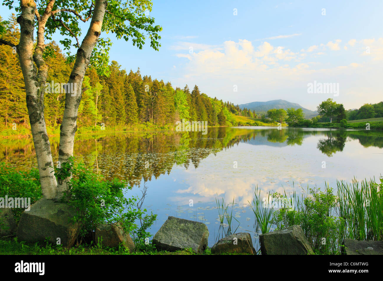 Morning, Little Long Pond, Little Long Pond Loop Carriage Road, Acadia ...