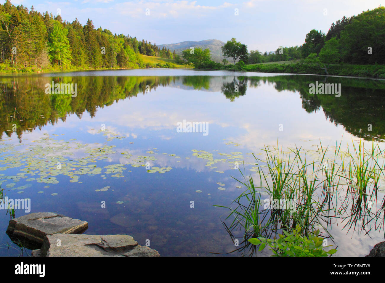 Morning, Little Long Pond, Little Long Pond Loop Carriage Road, Acadia ...