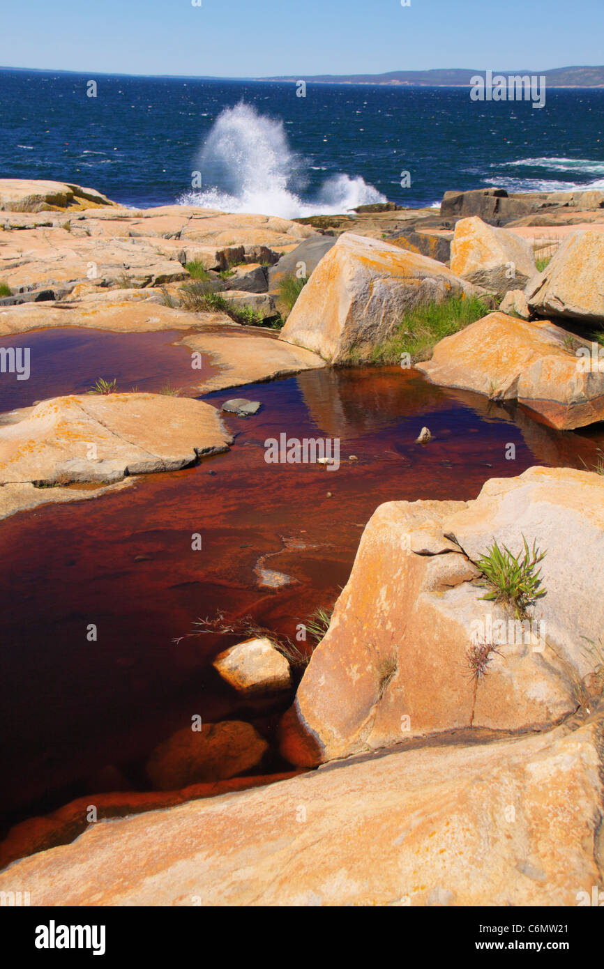 Schoodic Peninsula, Acadia National Park, Maine, USA Stock Photo - Alamy