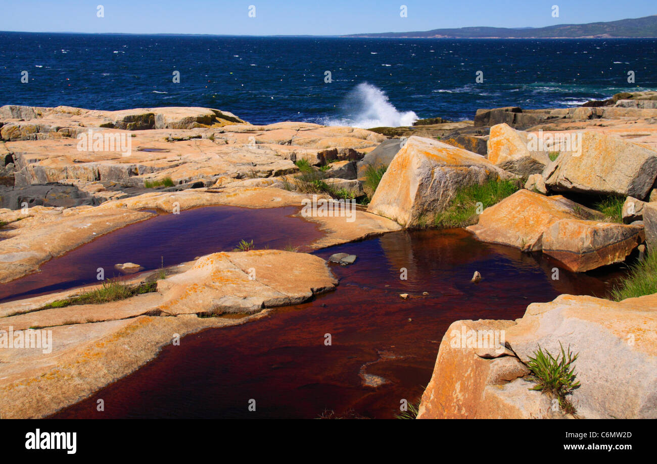 Schoodic Peninsula, Acadia National Park, Maine, USA Stock Photo - Alamy