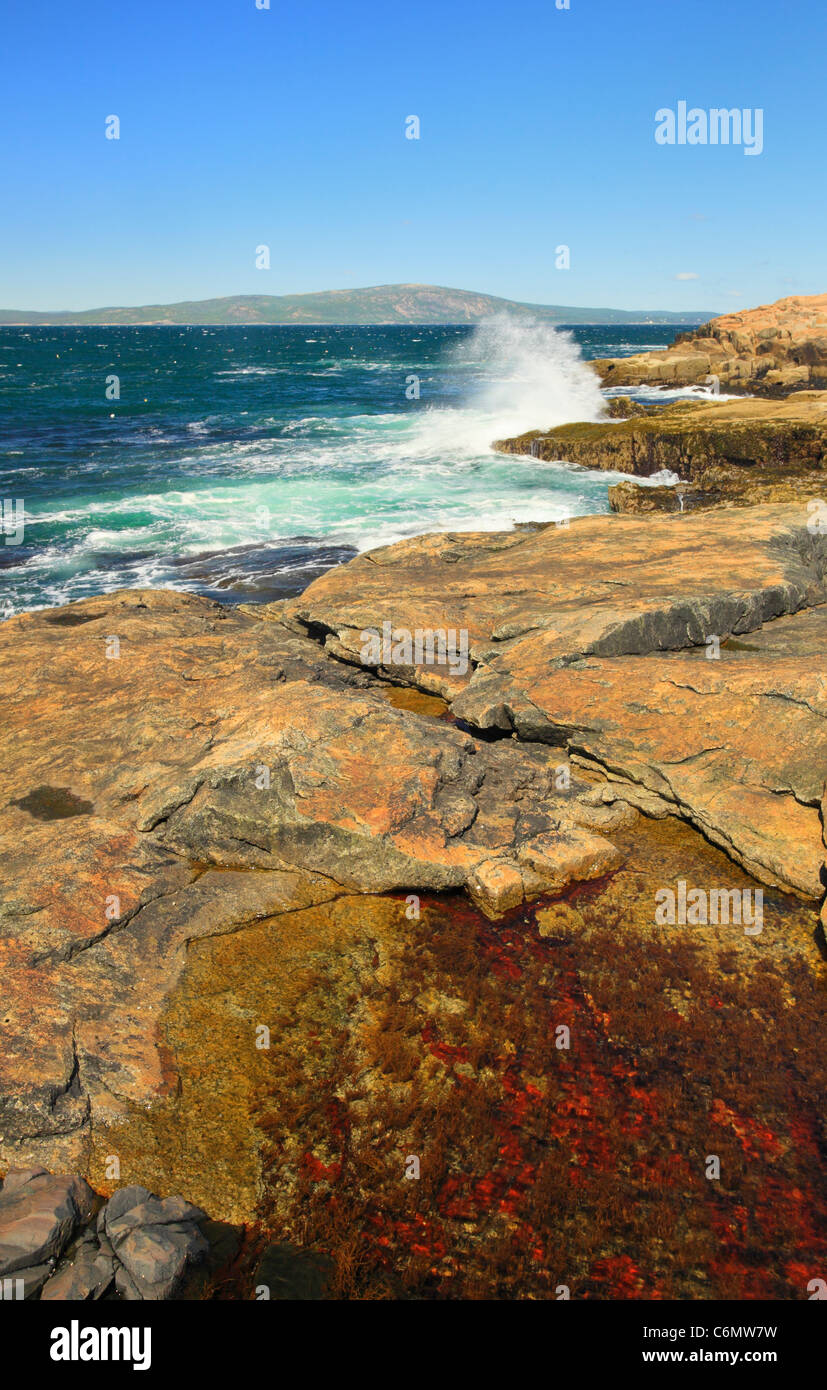 Schoodic Peninsula, Acadia National Park, Maine, USA Stock Photo - Alamy