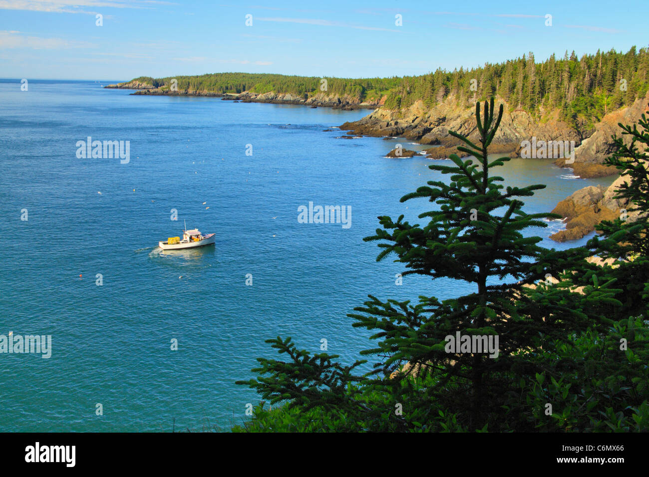 Cutler coast trail hi-res stock photography and images - Alamy