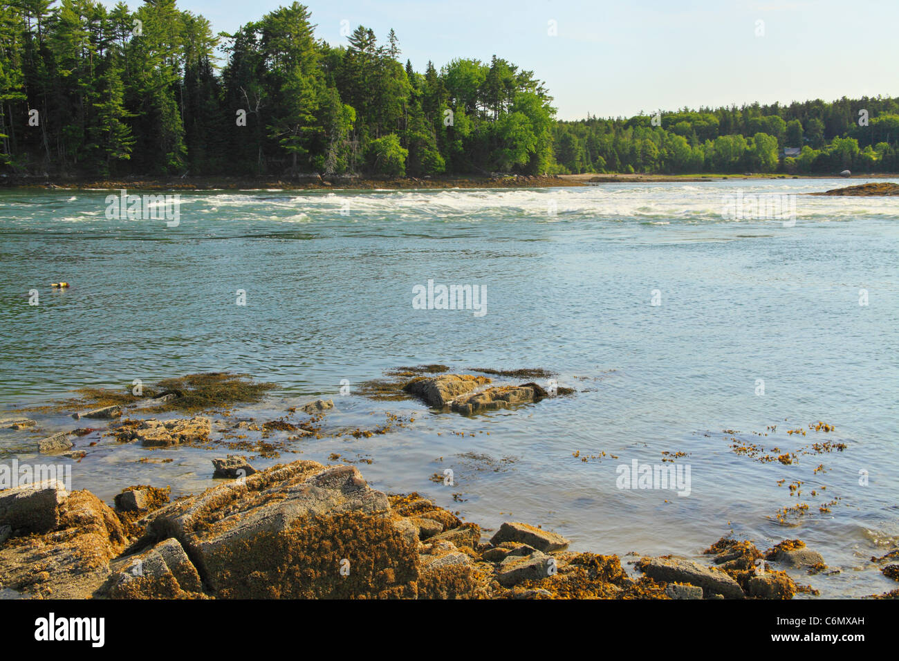 Tidal falls preserve hi-res stock photography and images - Alamy