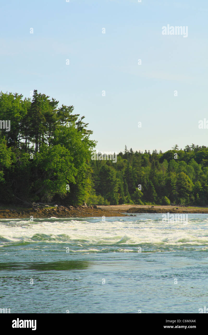 Tidal Falls Preserve, Frenchman Bay Conservatory, Hancock, Maine, USA ...