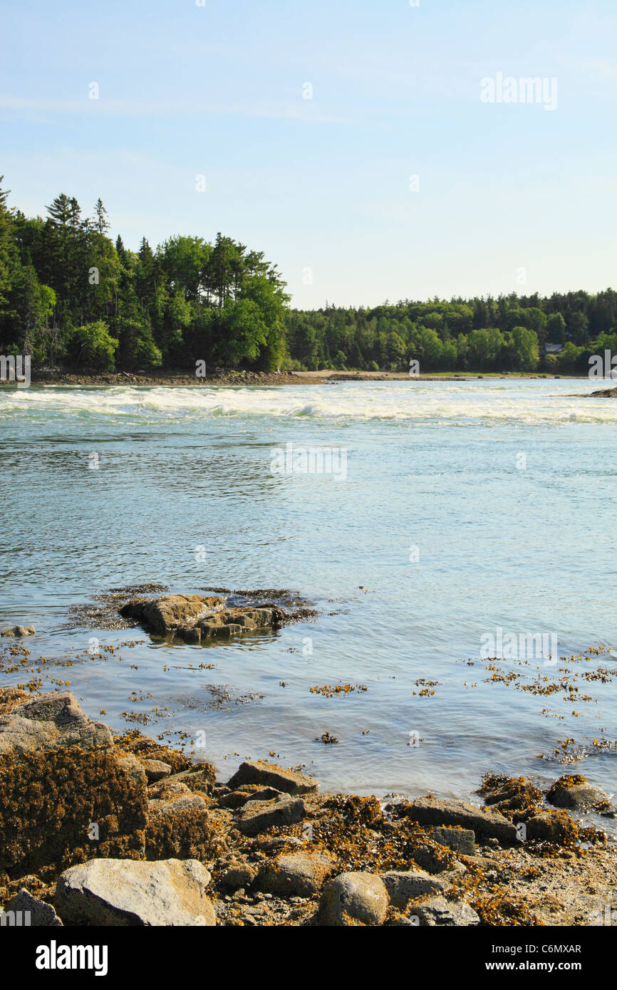 Tidal Falls Preserve, Frenchman Bay Conservatory, Hancock, Maine, USA ...
