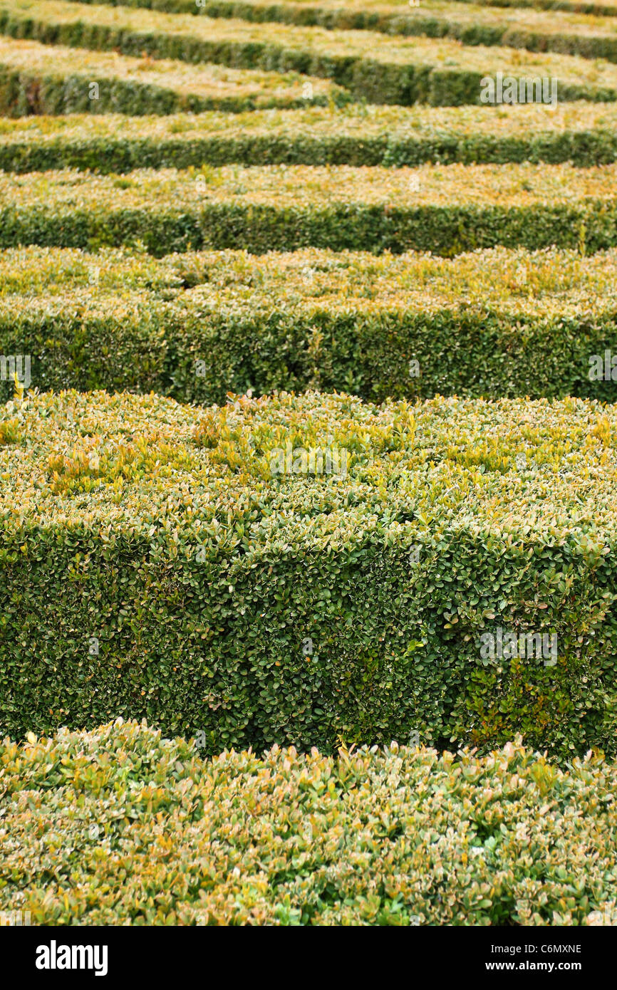 Quickset hedge hi-res stock photography and images - Alamy