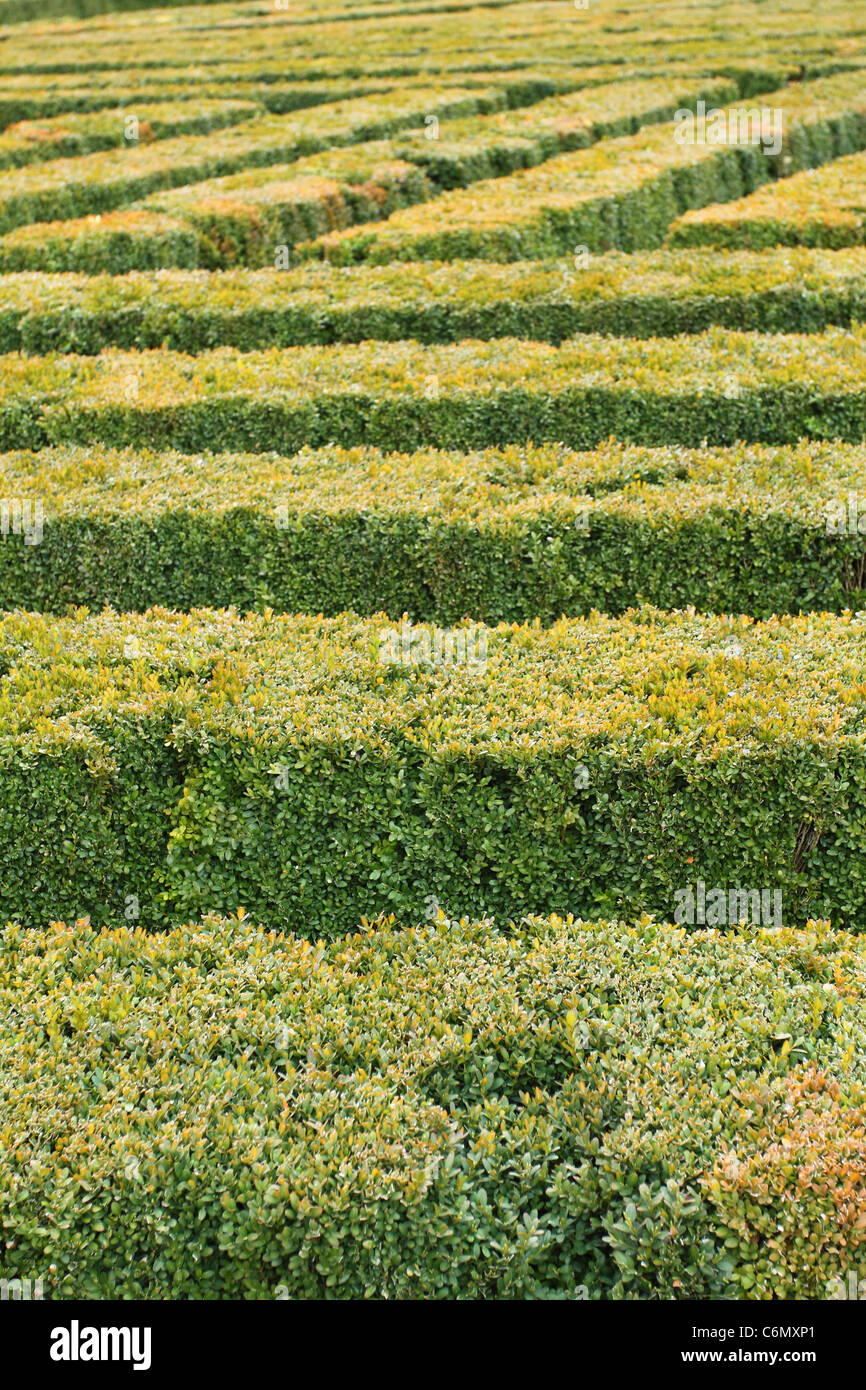Quickset hedge hi-res stock photography and images - Alamy