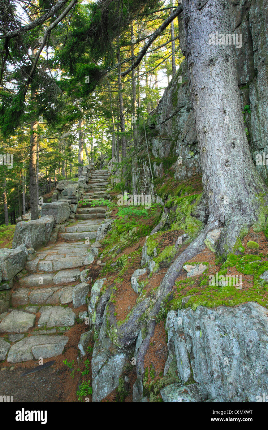 Asticou terraces hi-res stock photography and images - Alamy