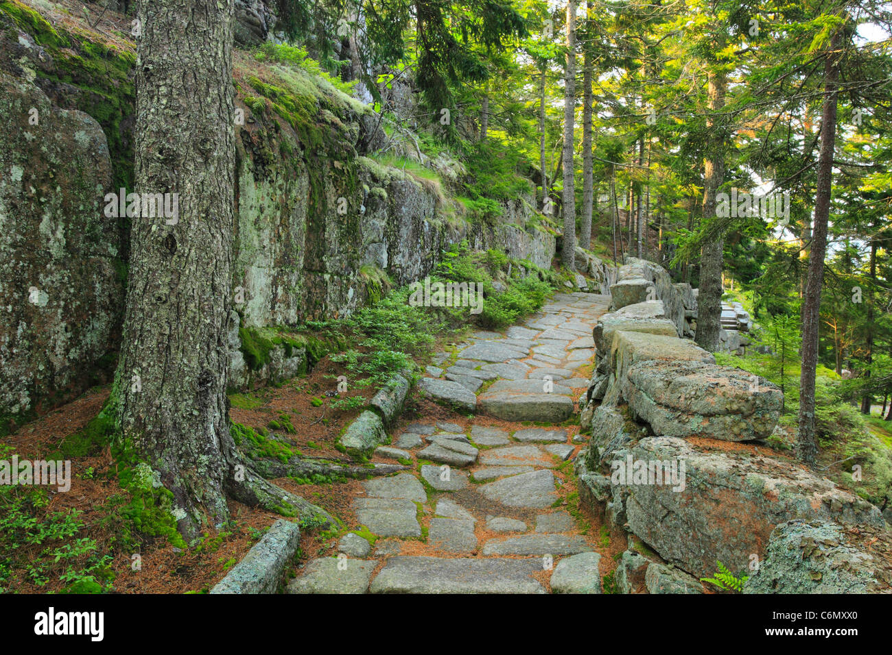 Asticou terraces hi-res stock photography and images - Alamy