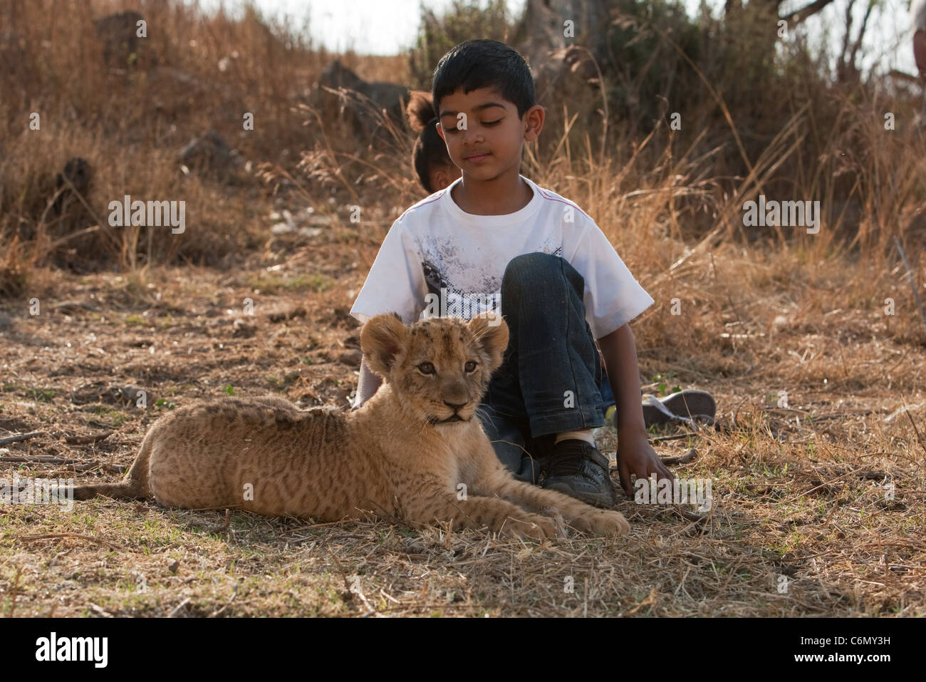 Lion and boy hi-res stock photography and images - Alamy