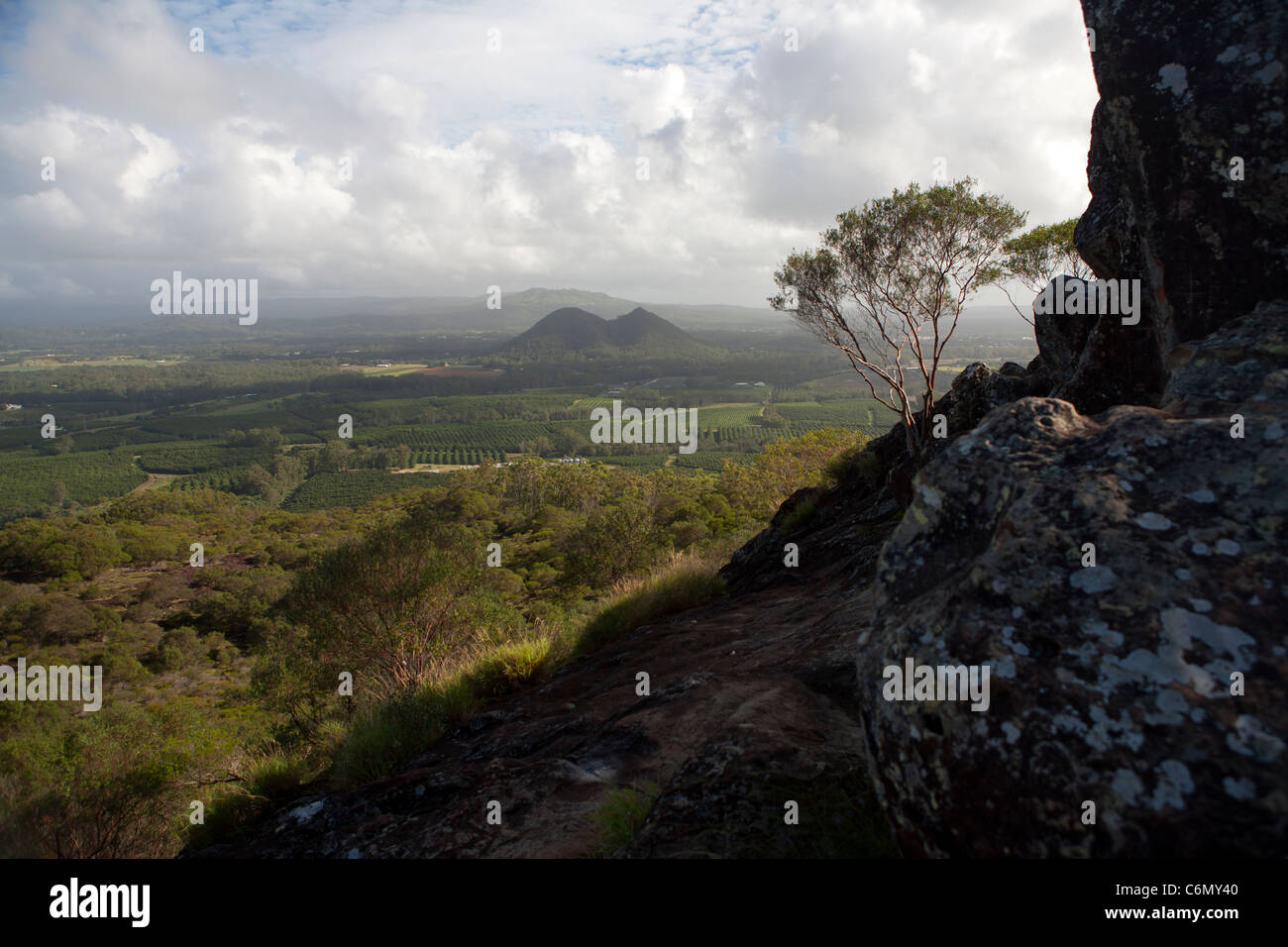 View over macadamia fields from near the summit of Mt Ngungun Stock ...
