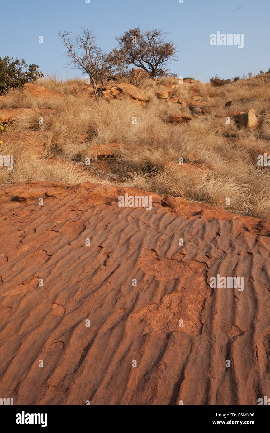 Landscape with rocks showing the ripples of the prehistoric sea bed ...