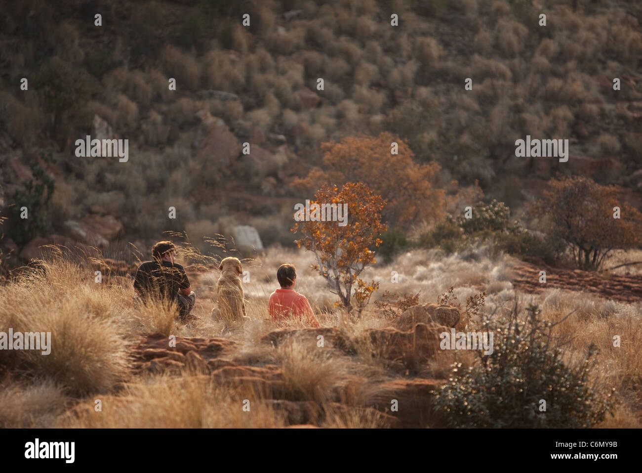Dry vegetation hi-res stock photography and images - Alamy