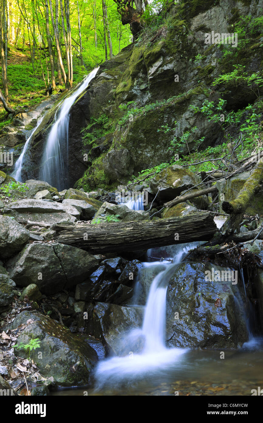 Image of a river with small waterfalls in a forest Stock Photo - Alamy