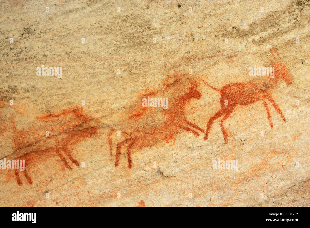 San rock art in cave interior Stock Photo - Alamy